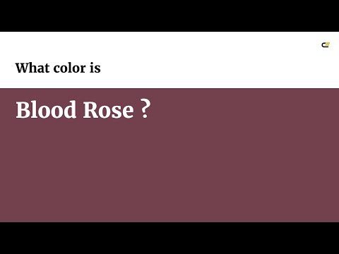 Blood Rose color #73404d hex color - Red color - Cool color 73404d