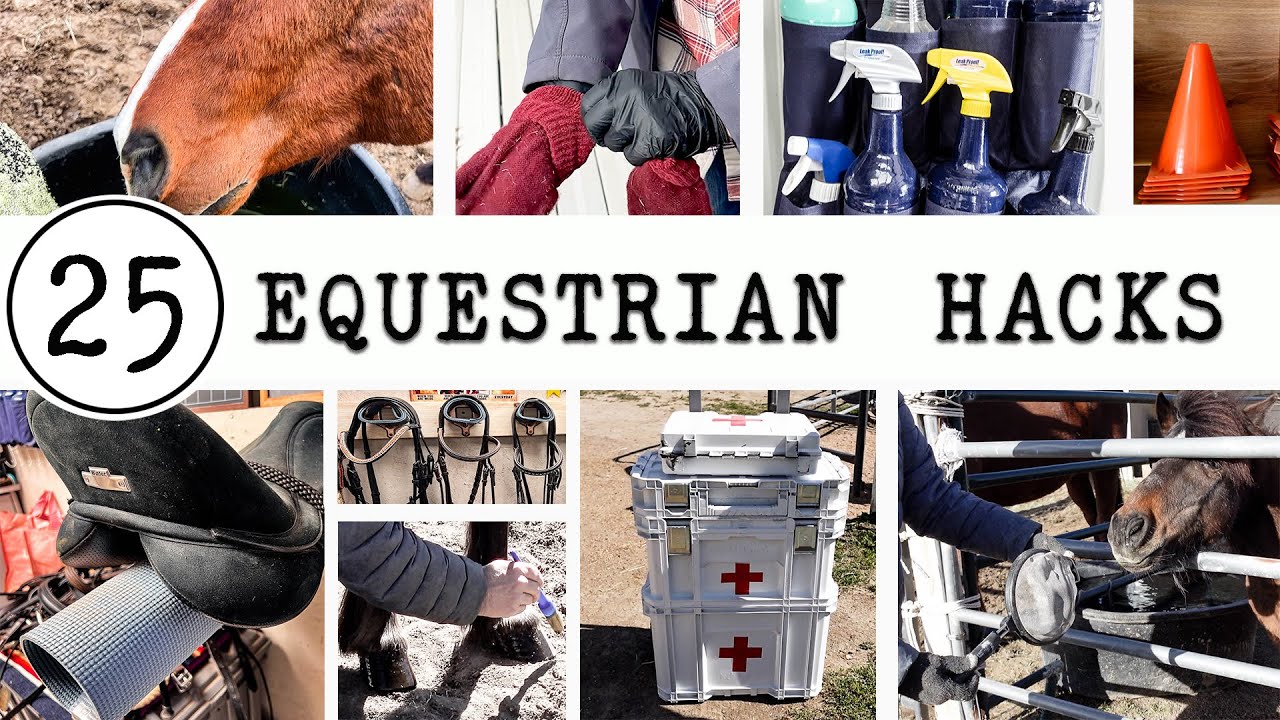 25 Best Barn Hacks (That Actually Work!)