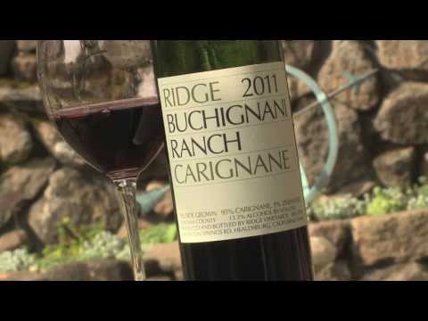 2011 BUCHIGNANI CARIGNANE