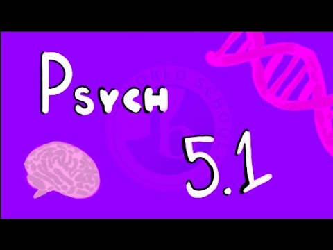 IB Sociocultural Psychology 5.1 Pt 2: Social Identity Theory