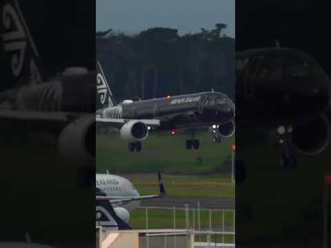 Air New Zealand A321 NEO All Black landing at Auckland Airport