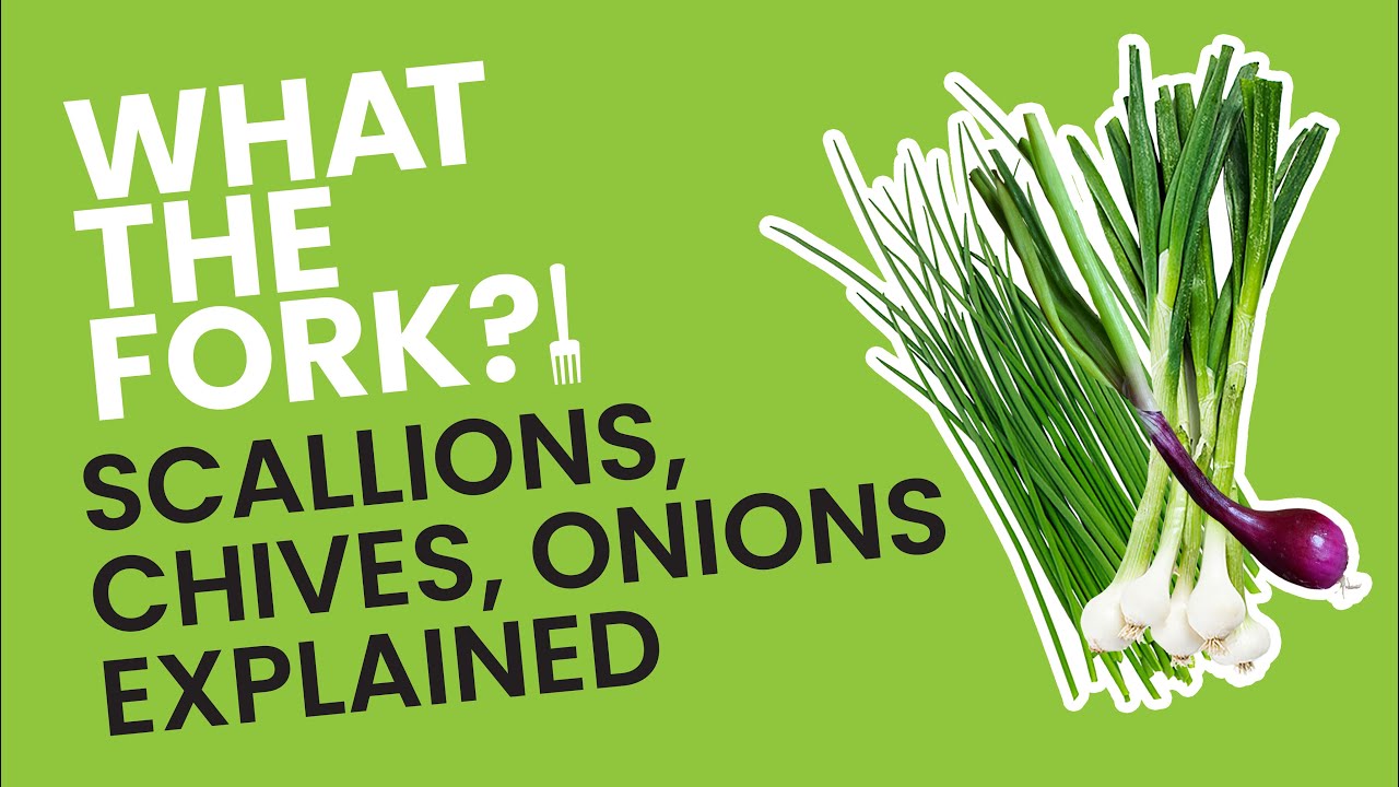 Chives, Scallions, Green Onions, Spring Onions, Green Garlic, Oh My! WTF?!