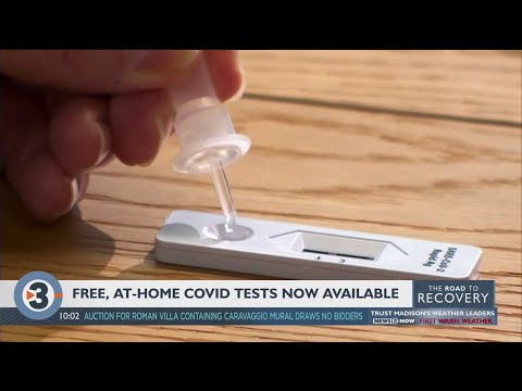 You can now get free at-home rapid tests mailed to your house from the federal government. Here's