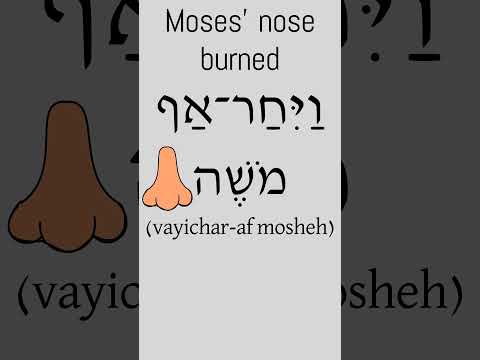 The Biblical Hebrew Way to Say "Anger" #bible #hebrew #moses #language