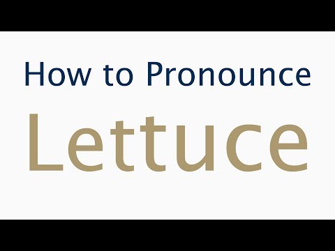 How to Pronounce Lettuce