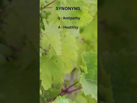 Synonyms