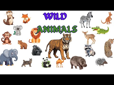 Wild Animals | Names in English with Pictures | Animals Vocabulary in English