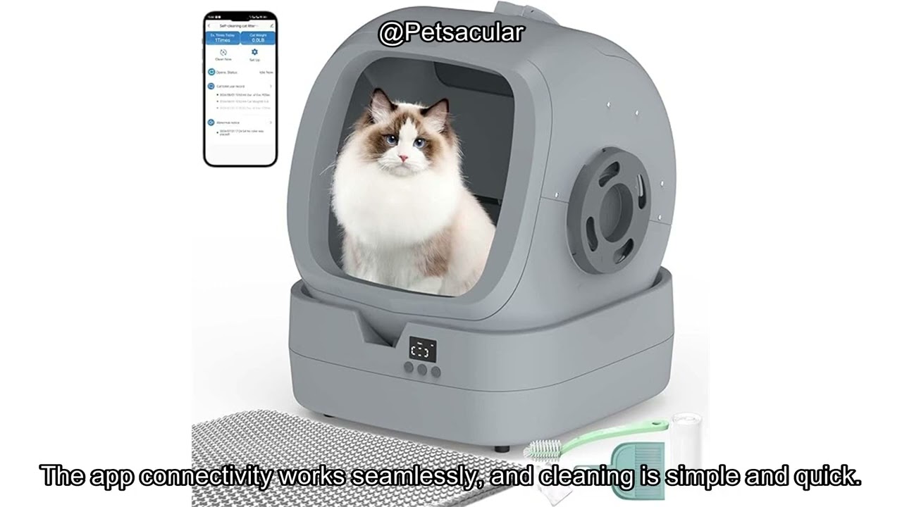 Automatic Cat Litter Box Review: Is the Smart, Self-Cleaning Feature Worth It?