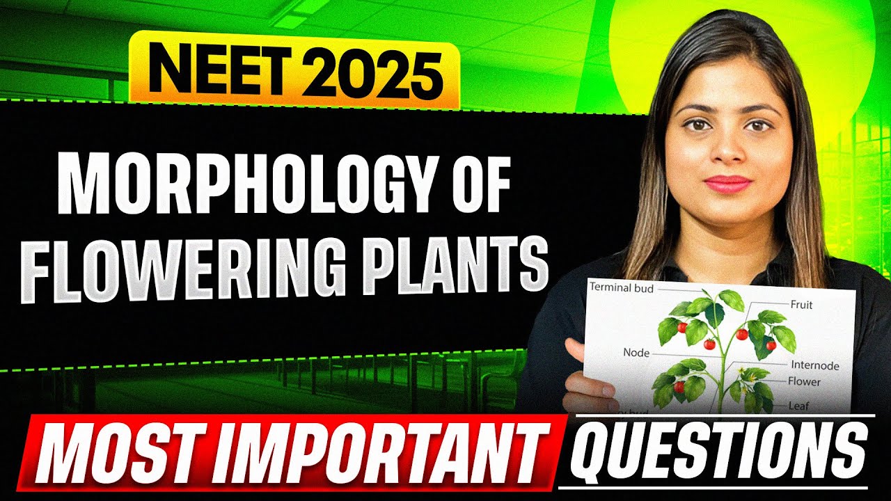 MORPHOLOGY OF FLOWERING PLANTS - Most Important Questions for NEET 2025 || PhysicsWallah