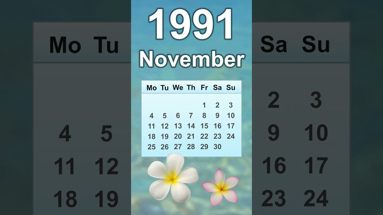 November 1991 Calendar