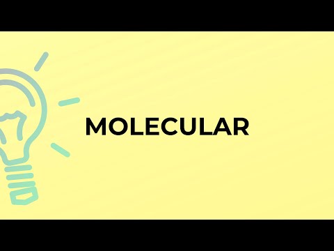 What is the meaning of the word MOLECULAR?