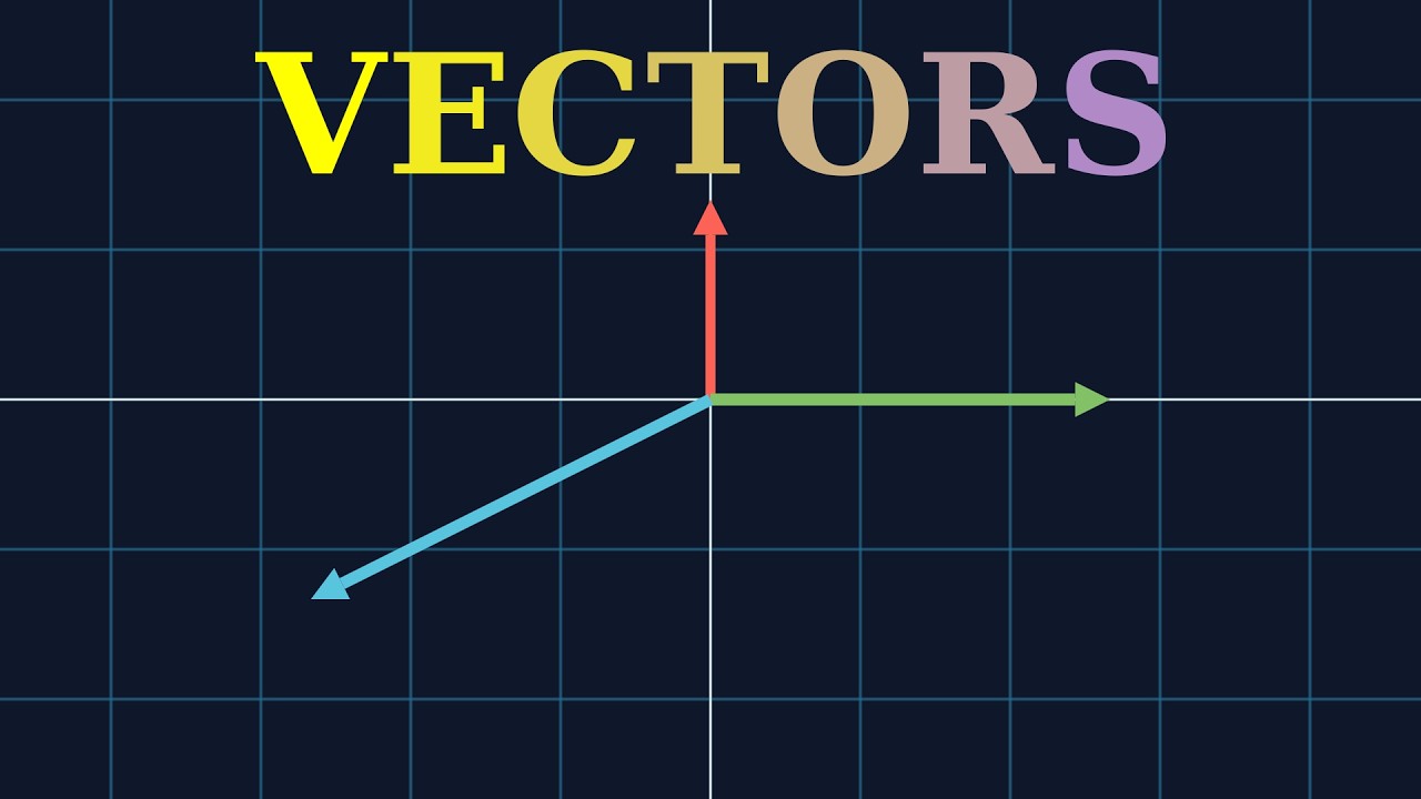 The Only Vector Video You'll Ever Need