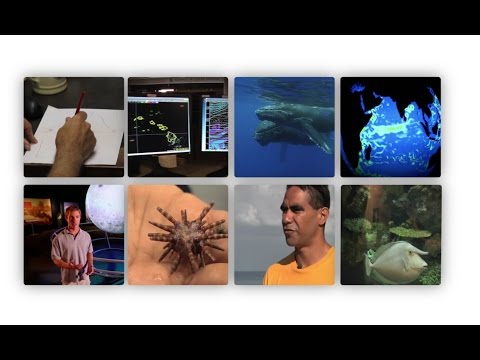 National Oceanic and Atmospheric Administration (NOAA) PSA#2 Careers