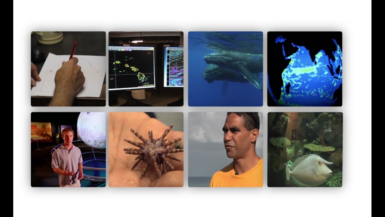 National Oceanic and Atmospheric Administration (NOAA) PSA#2 Careers