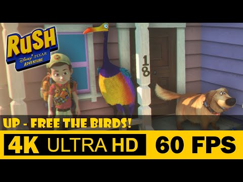 Steam Community :: Video :: UP - Free the Birds! | RUSH: A Disney • PIXAR Adventure ...