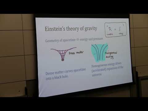 Eva Silverstein & Roger Blandford - “The Physics and Astrophysics of Black Holes and Horizons”