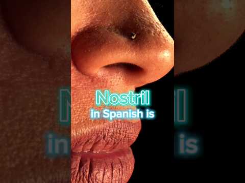 NOSTRIL IN SPANISH | Medical Consecutive Interpreting