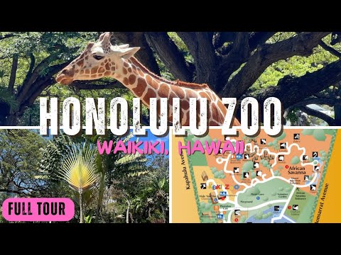 2025 HONOLULU ZOO IN WAIKIKI, HAWAII (African Savanna, Tropical Rainforest & Pacific Islands)