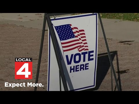 Poll: How Michigan voters feel about abortion, voting rights, term limit proposals