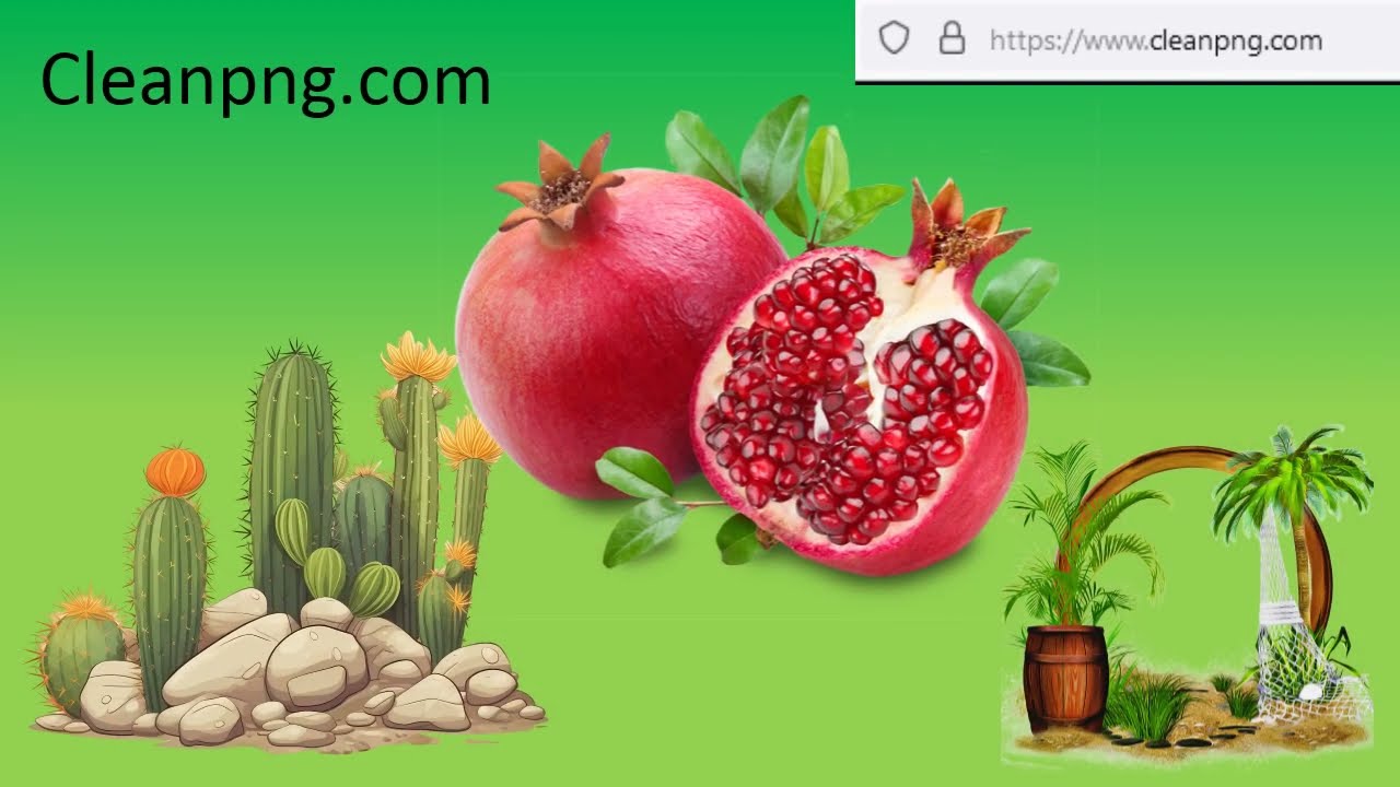 ¡Descarga Imágenes PNG Gratis en 2024! Recursos para Diseñadores y Creadores