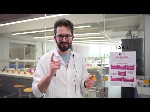 Summer School 2025: Chimica, Arduino e tecnologie per l'ambiente