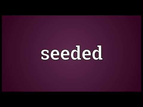 Seeded Meaning | Wordogram