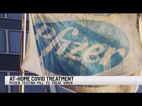 Single pill cure for COVID-19 could be available this year