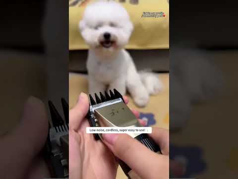π Pet grooming game-changer alert! πΎ Just $10.54!