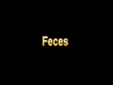 What Is The Definition Of Feces - Medical Dictionary Free Online