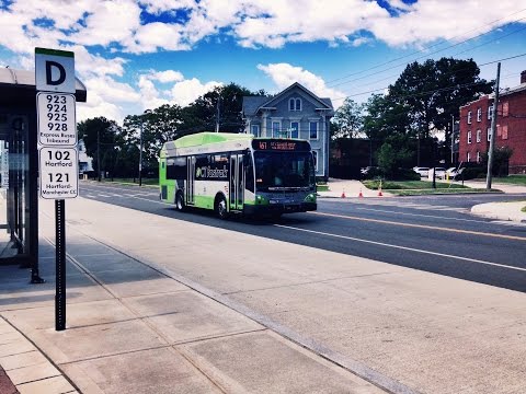 Ride On: CTfastrak #1438 on the 161