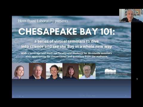 Bay 101: Chesapeake Bay’s currents and winds for sailors and water enthusiasts with Bill Boicourt
