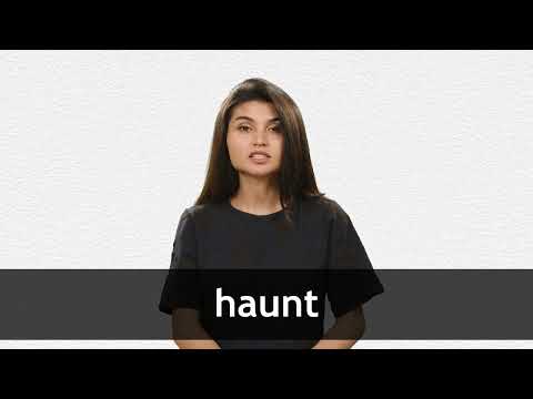 HAUNT definition in American English | Collins English Dictionary