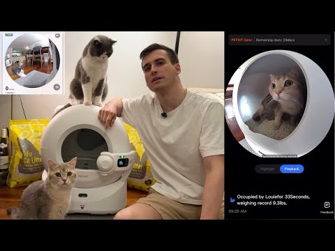 Reviewing the first AI-Powered Automatic Litter Box - ✨Petkit Purobot Ultra✨
