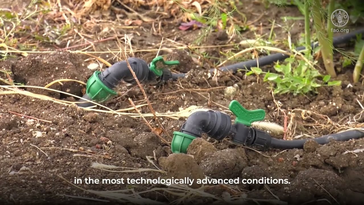 Digital agriculture good practice - Using intensive gardening to grow more food in less space