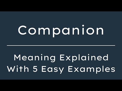 What Does Companion Mean? Companion Meaning in English With 5 Example Sentences