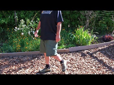 Tru-Spec 24-7 Series shorts