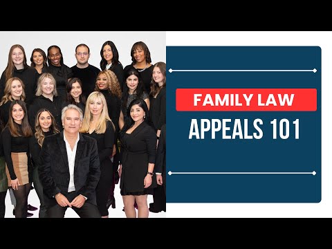 What You Need to Know About Family Law Appeals - ChooseGoldman.com