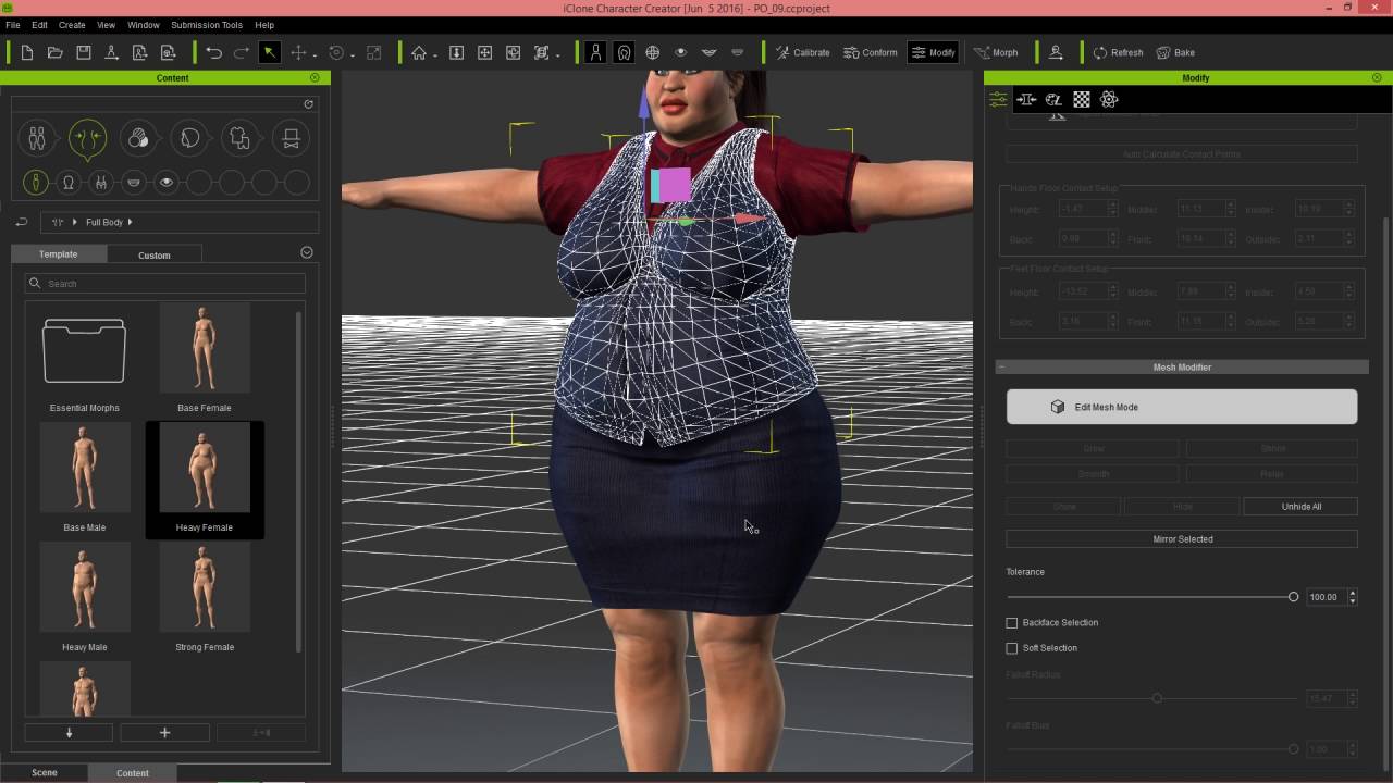 Mastering Character Creator 1.5: A Comprehensive Guide to Editing ...