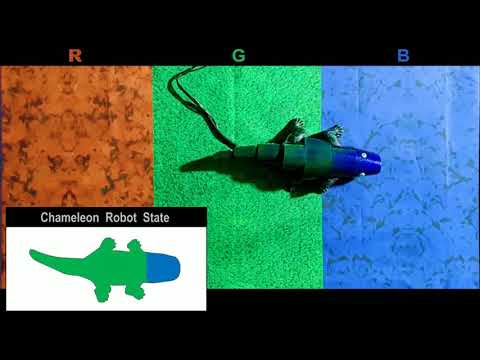 Chameleon Robot Changes Colors in Real-Time, Could Transform Military ...
