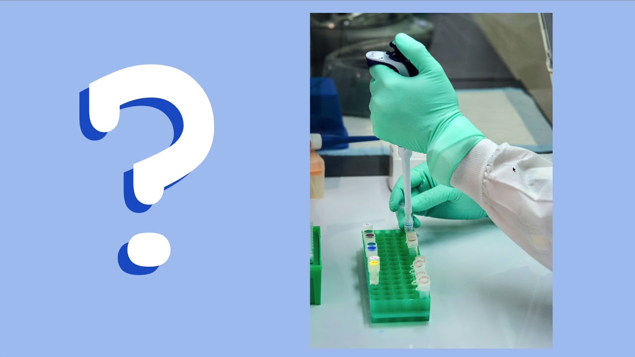 Undergraduate Showcase - The Science of Immunity | Shannon Liang
