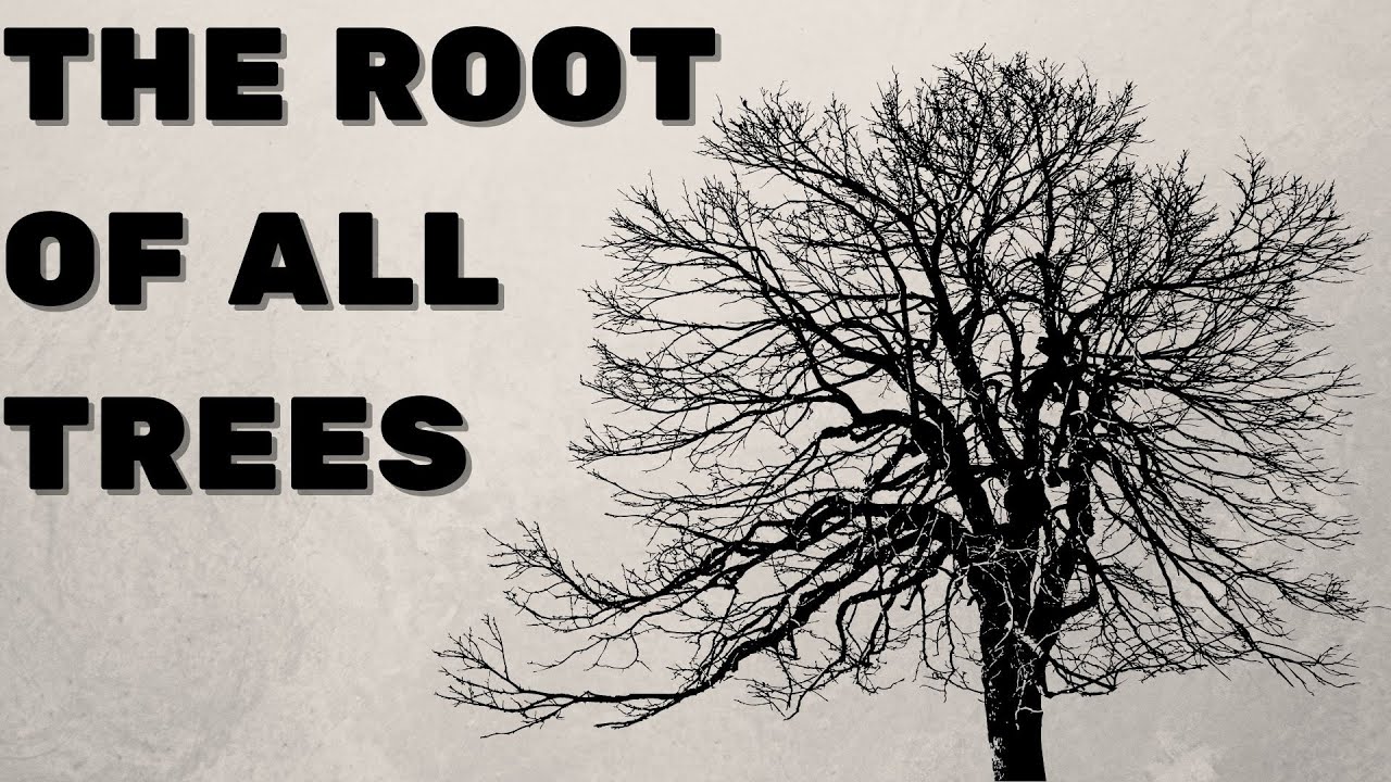 The Root of All Trees, Get better at Tree Work, Learn Your Tree Names!