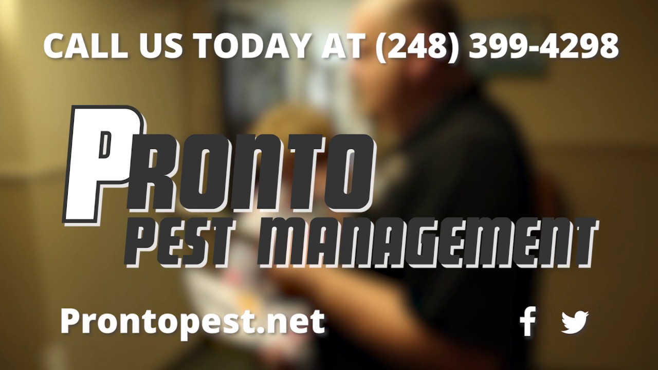 Pronto Pest Management Jingle - (248) 399-4298