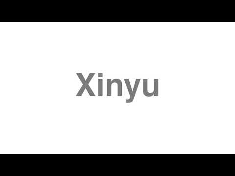 How to Pronounce "Xinyu"