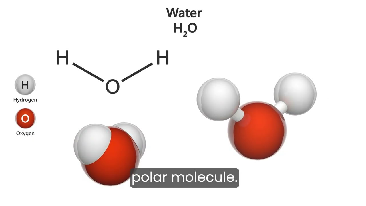 Water vs Hydrogen Peroxide: Detailed Chemical & Molecular Comparison