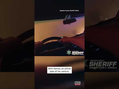 Deputy Drives Through Forest Fire #shorts