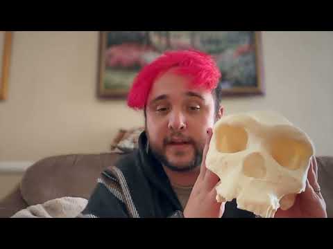 Broken Hill-Kabwe 1 and The London Natural History Museum – World of ...