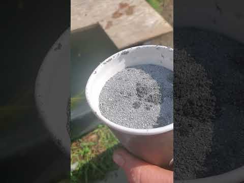 Getting rid of algae in a stock tank (Part #1)