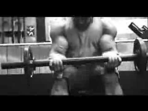 Animal Nutrition Teaser