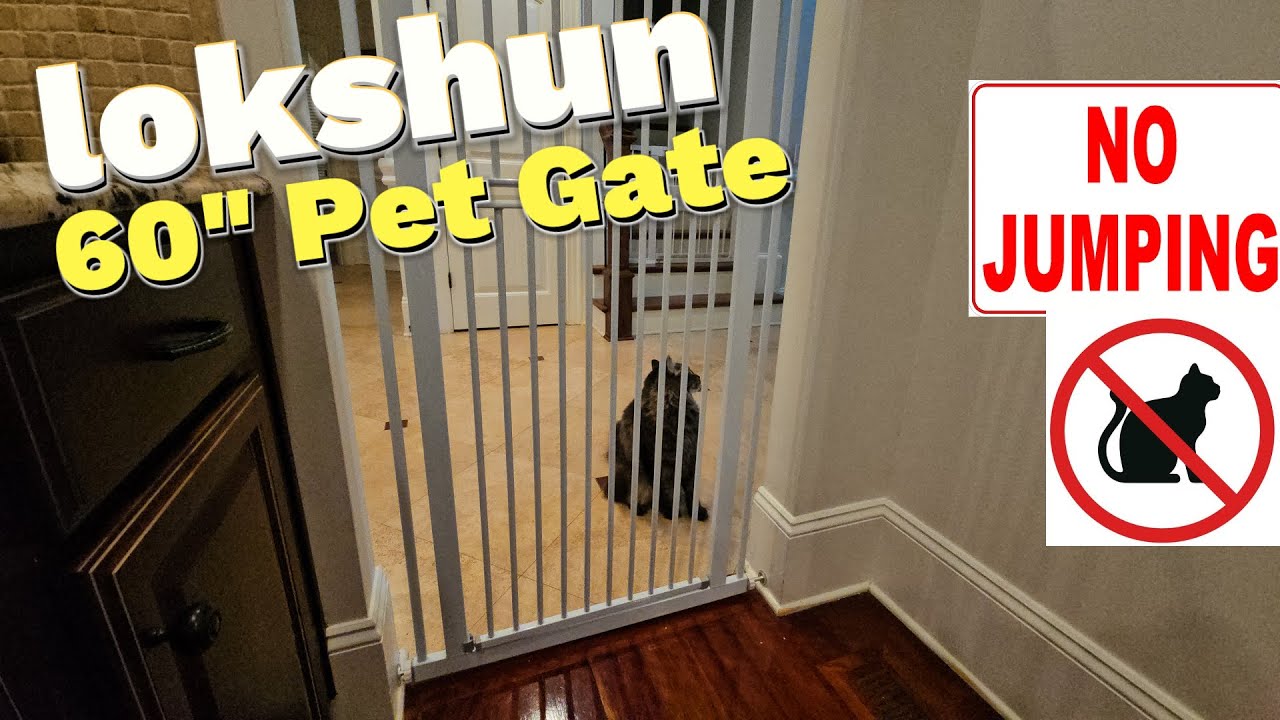 This Gate Stops Kittens & Kids: Find Out How!