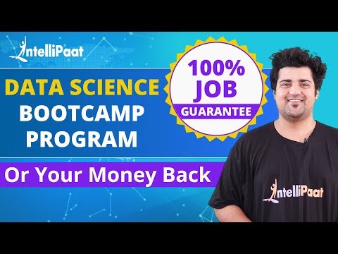 What is Angular? Features & Architecture - Intellipaat